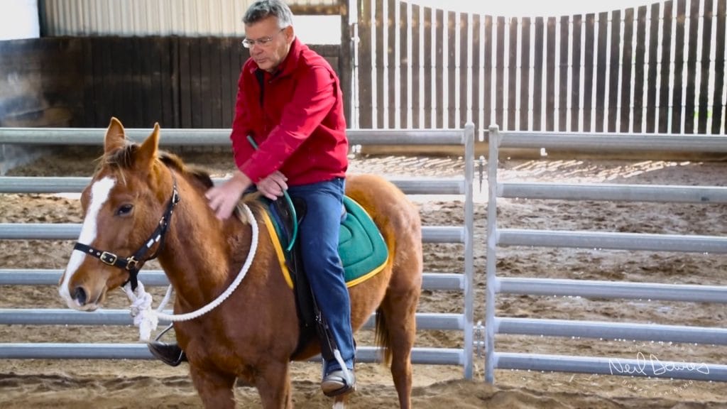 Starting a Horse Under Saddle Online Clinic - Fear Free Horse Training