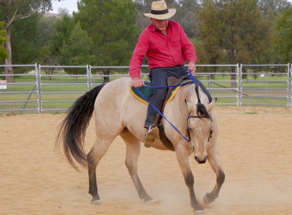 Shying and Control - Fear Free Horse Training