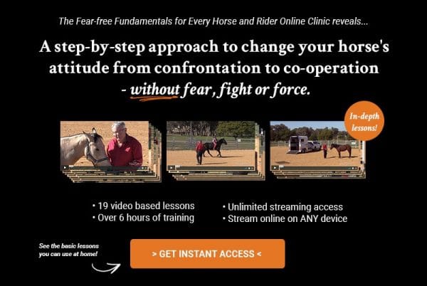 Book - Fear Free Horse Training