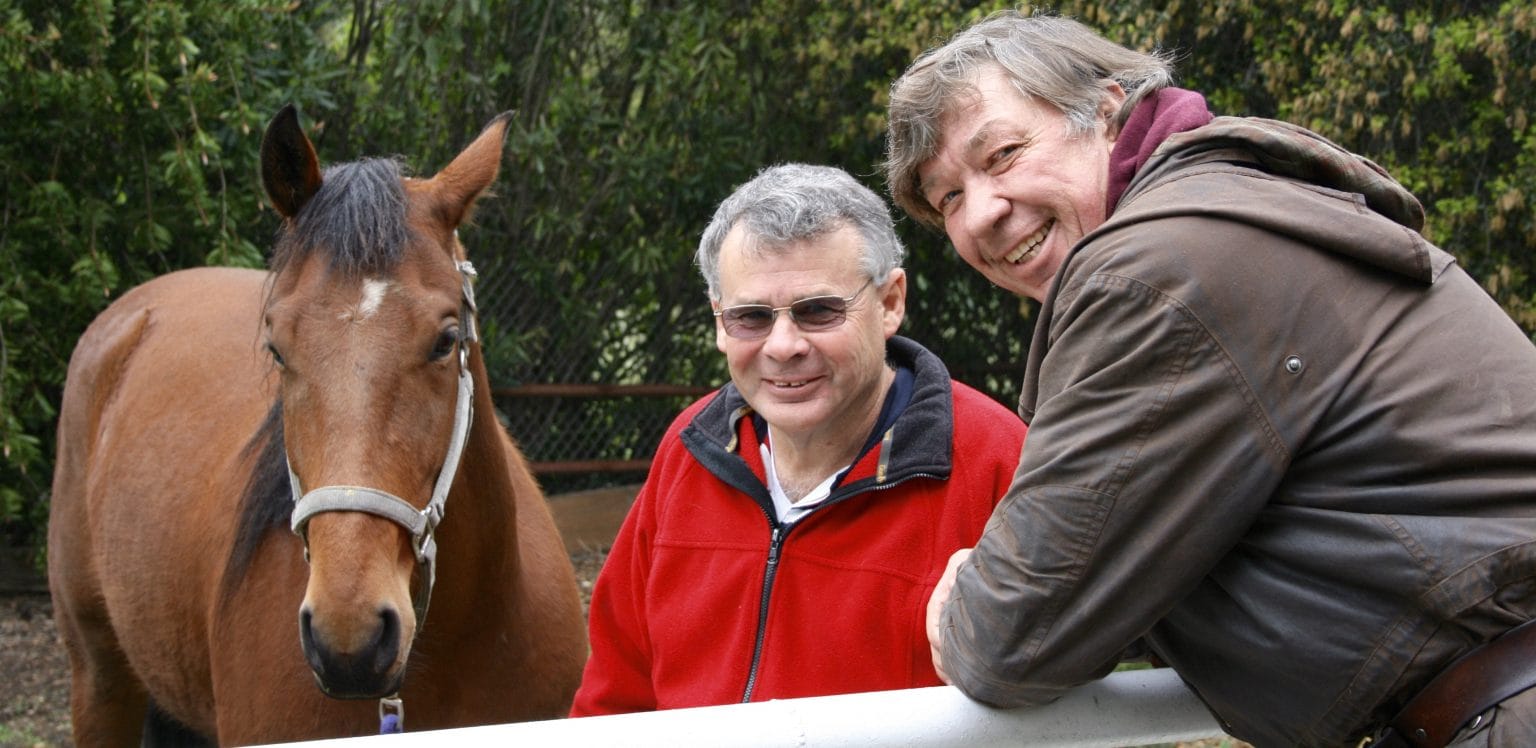 Build a better relationship with your horse - Fear Free Horse Training